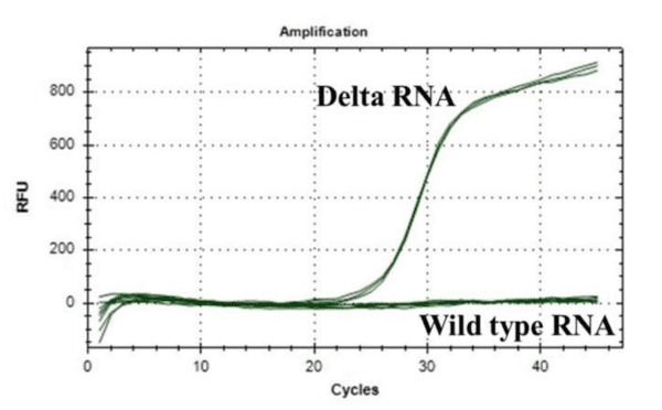 L452R-Delta - PCR Assays