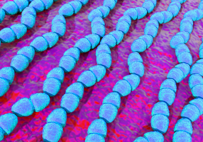 Enterococcus faecalis qPCR assay - PCR Assays