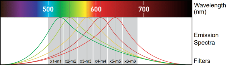 Calibration Standard for Cy5.5 Dye on QuantStudio instruments. - PCR Assays