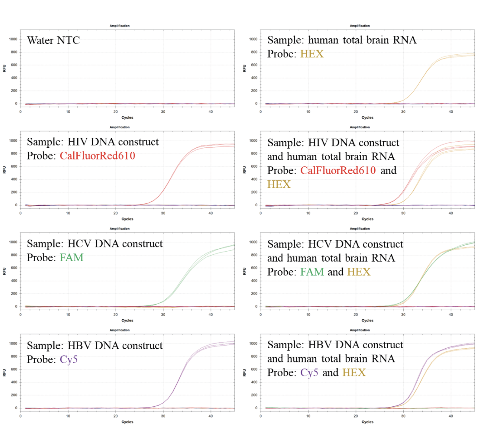 HIV-HCV-HBV-RPP30RNA2 - PCR Assays