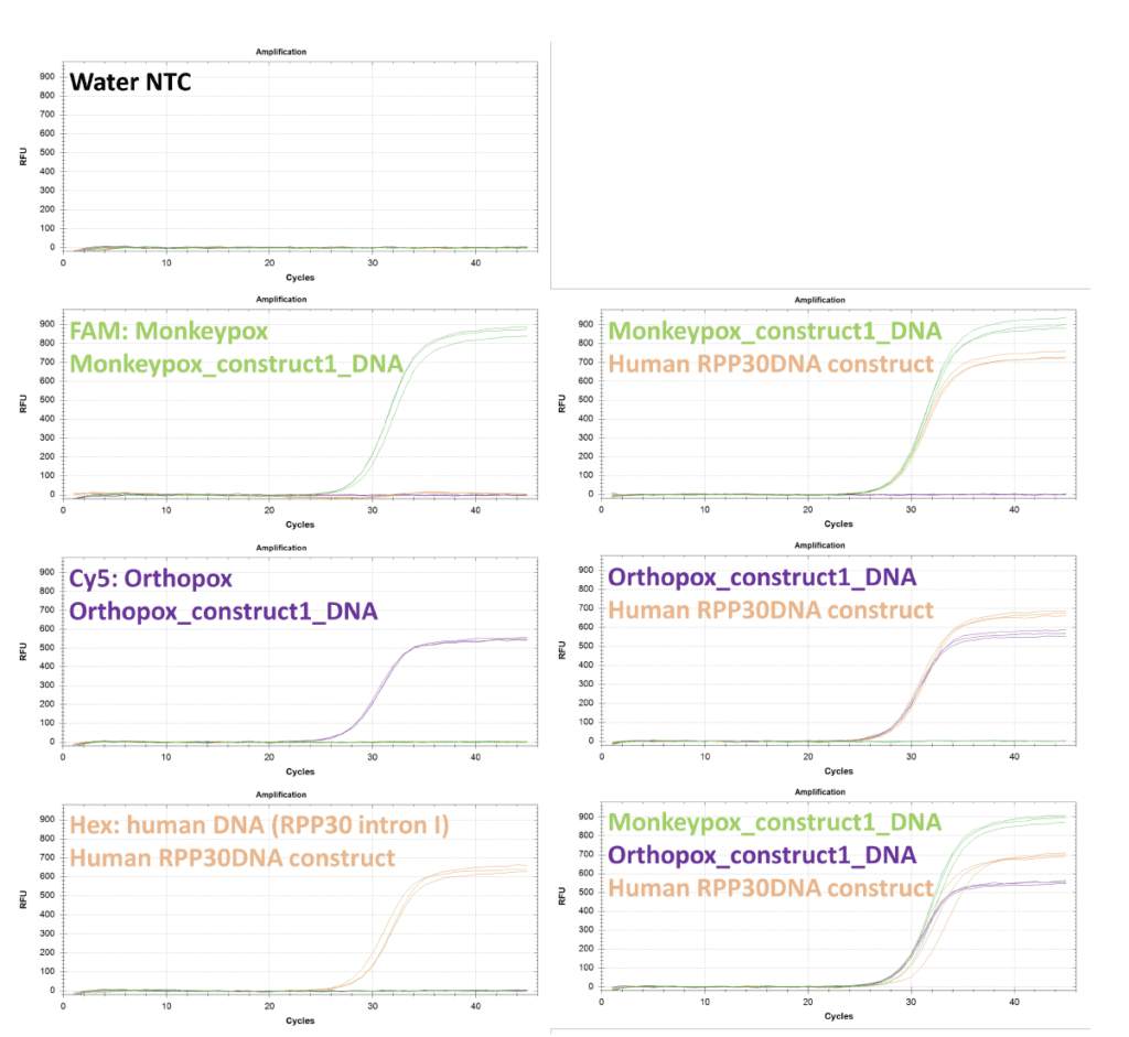 MPX1-OPV1-RPP30DNA - PCR Assays