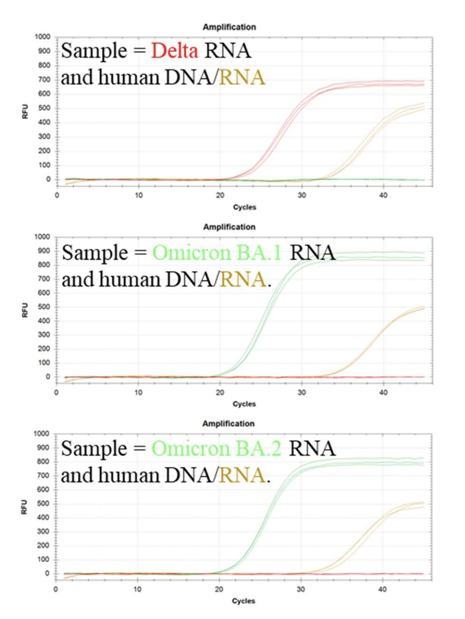N1P-N2P-RPP30 - PCR Assays